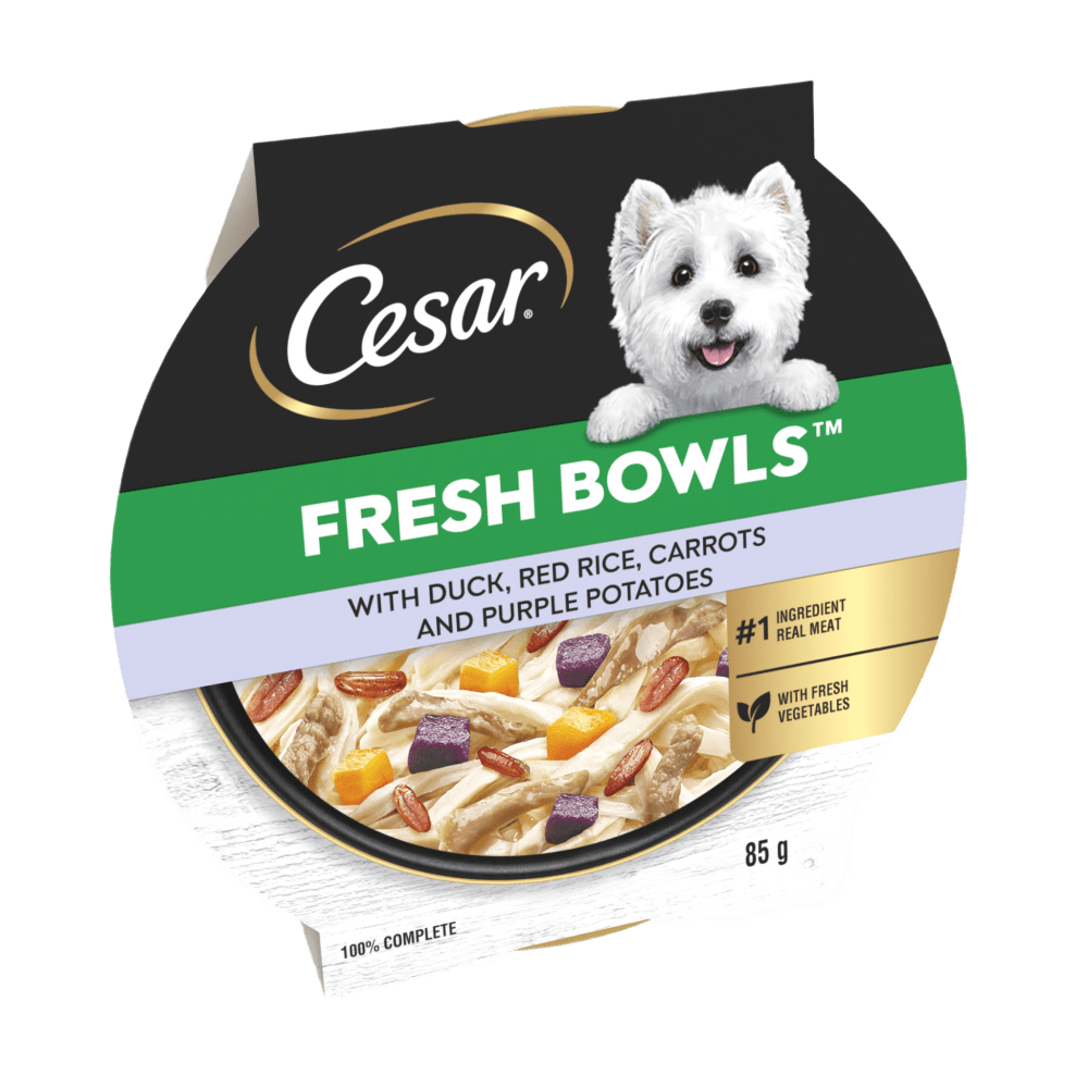 CESAR® Fresh Bowl Adult Dog with Duck,Red Rice,Carrots,Potato in Gravy 85g