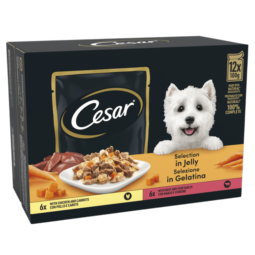 CESAR® Deliciously Fresh Dog Food Pouches Mixed Selection in Jelly 12 x ...