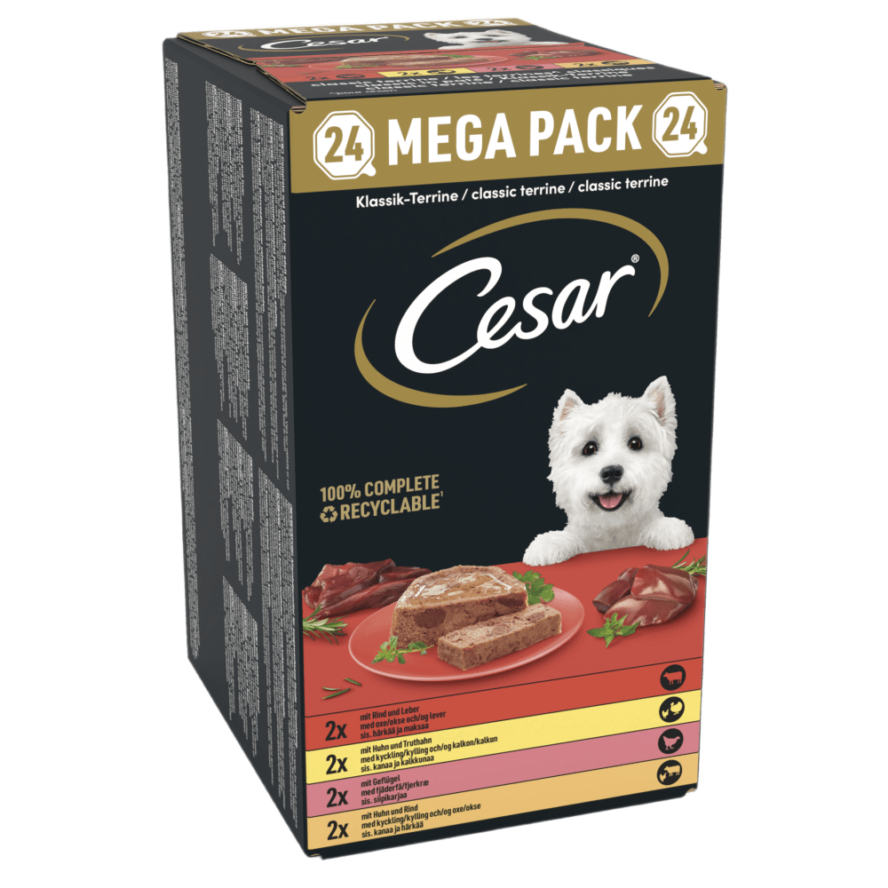 CESAR® Classic Terrine Adult Wet Dog Food Trays Mixed in Loaf 24 x 150g
