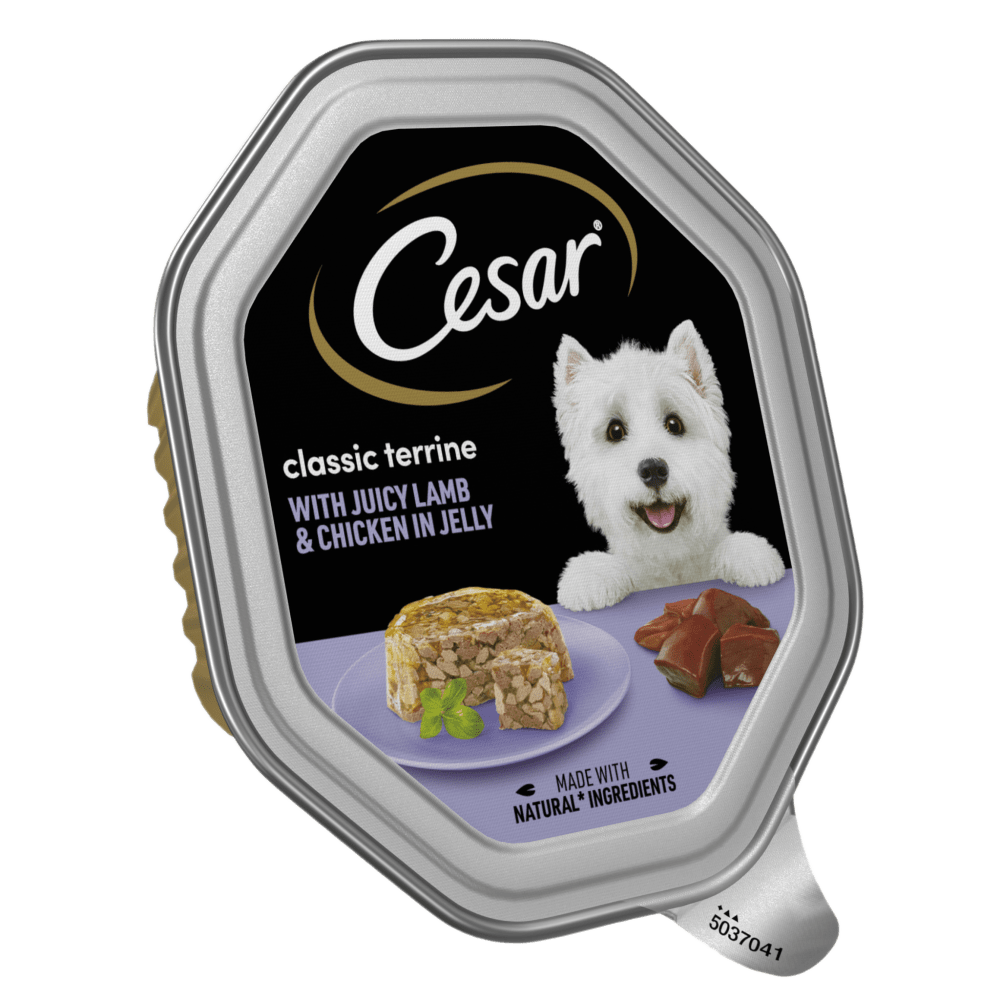 CESAR® Classics Terrine Dog Food Tray Lamb & Chicken in Jelly 150g